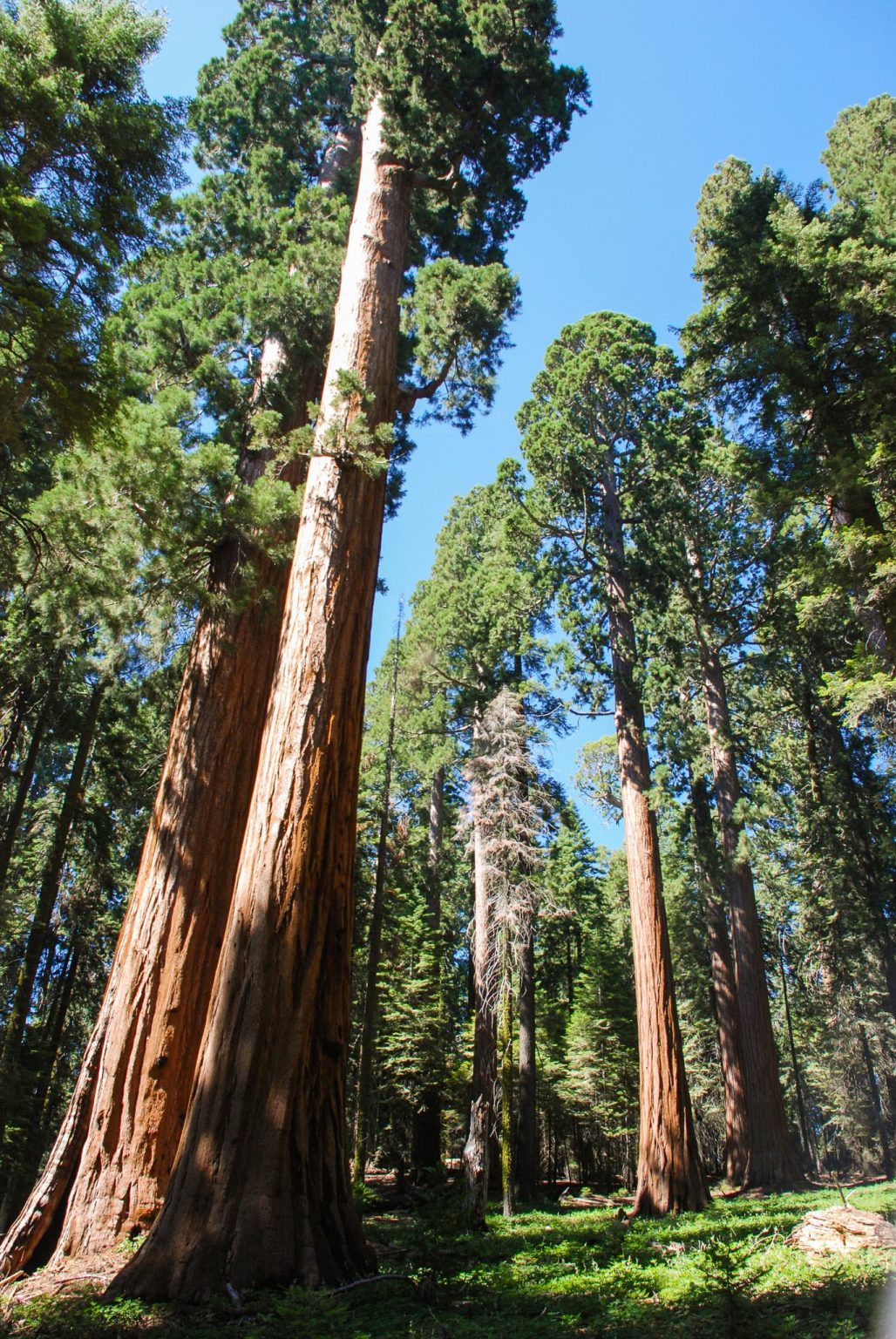 My Favorite Countries in the World (from a traveler who’s been to ...