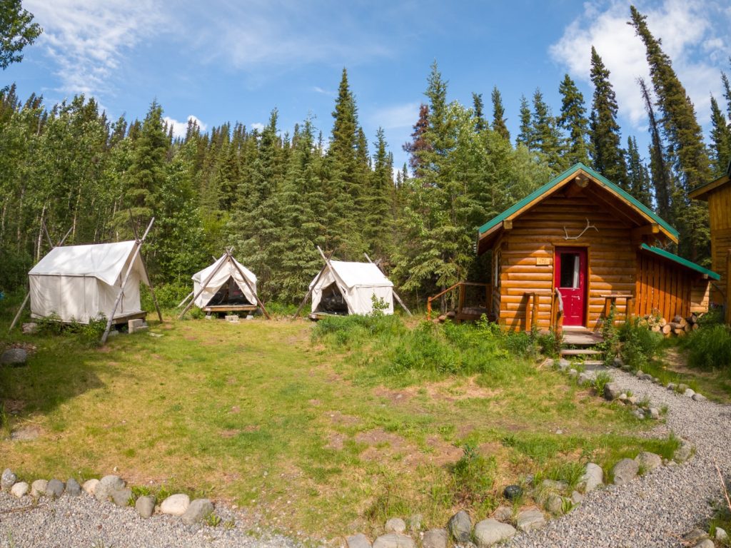 Exploring Denali National Park on a Budget – Bohemian Traveler